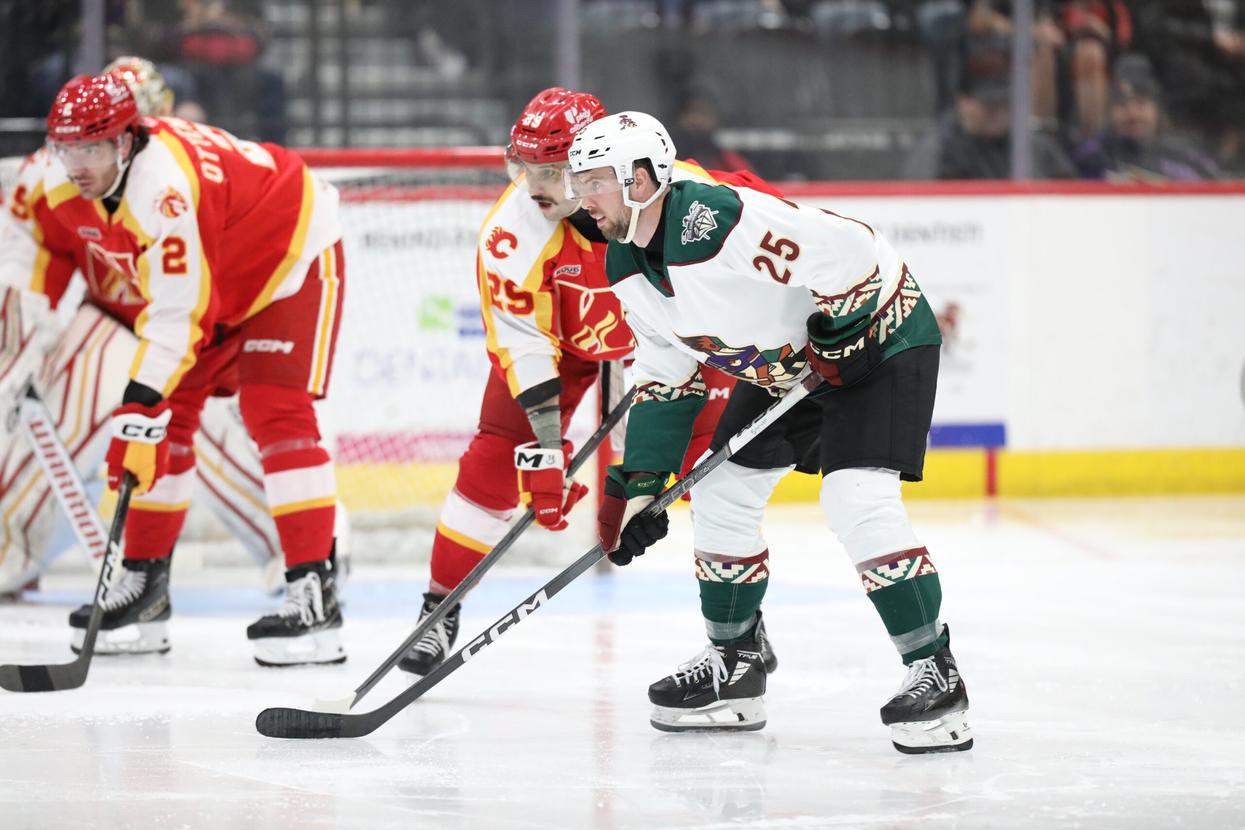 Tucson Roadrunners Hockey